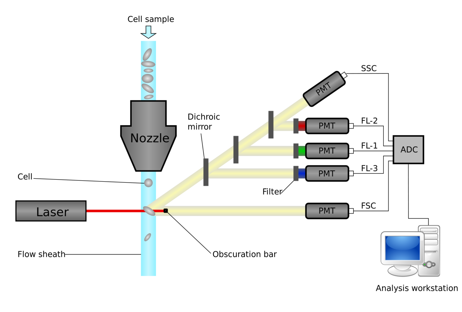 Flow Cytometry - Khám phá bí ẩn từng tế bào - BIOMEDIC JSC - Reliable value